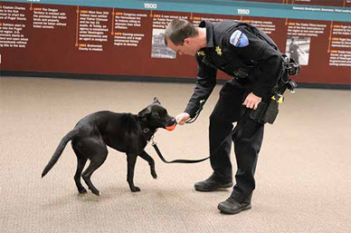 Tulalip Tribal Police Department || Patrol